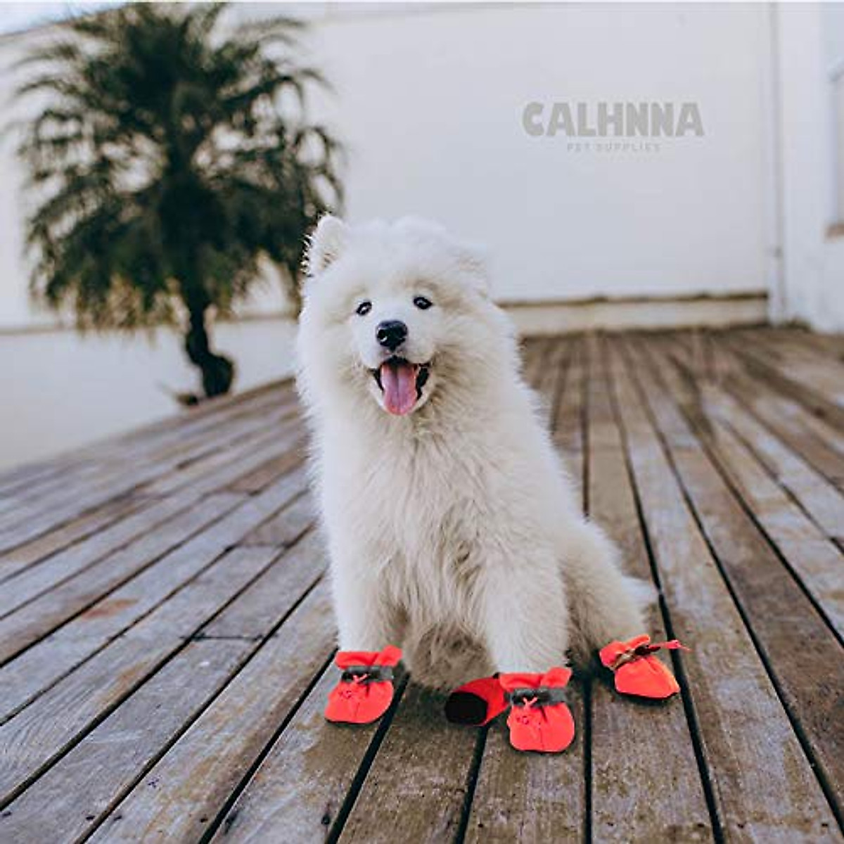 CALHNNA Dog Shoes Puppy Paw Protectors Dog Shoes for Hot Pavement Dog Boots with Anti Slip Socks Cat Dog Booties for Small Medium Dogs Pink 3 Red 7