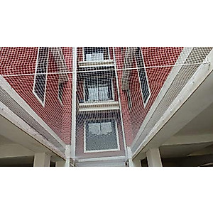 Anti Bird Net-Bird Protection Net Protection from Pigeon Birds & Cat Size: 8x6' (High Density Polyethylene (HDPE)