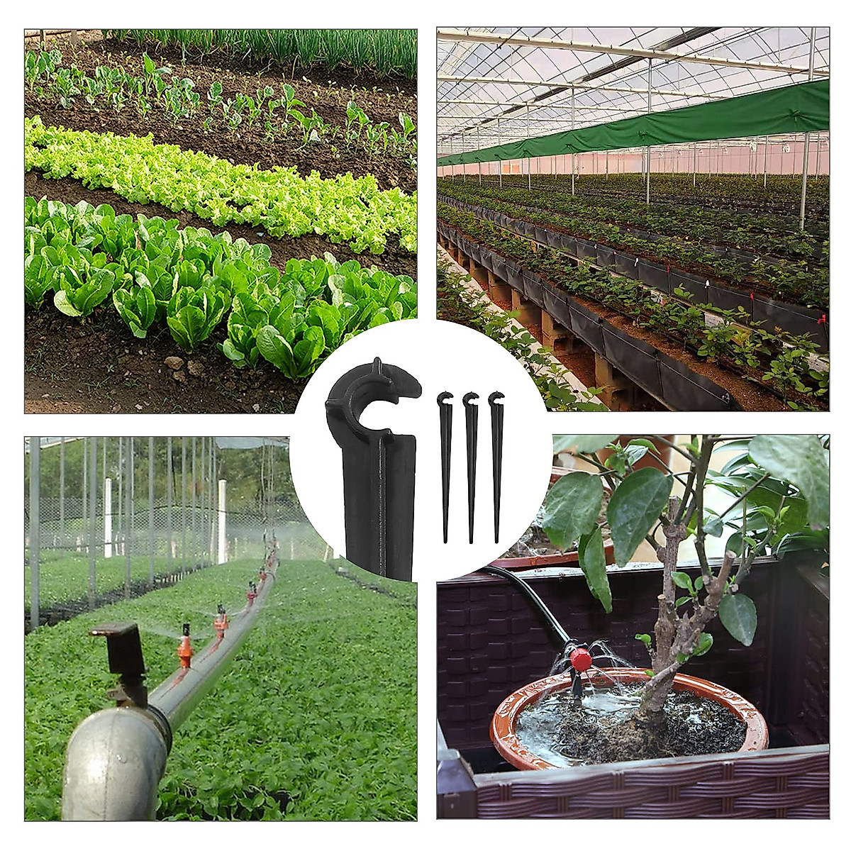 Jiozermi 240 Pcs Irrigation Drip Support Stakes for 1/4 Inch Drip Tubing, Tubing Hose Holder for Vegetable Gardens, Plants or Flower Beds