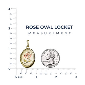PicturesOnGold.com Personalized 14K Gold Filled Rose Oval Locket Custom Photo Necklace for Women and Men 3/4 Inch X 1 Inch (Locket Only)