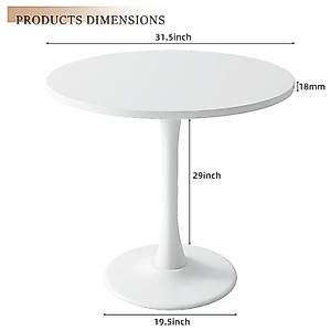 Kasinali 31.5 inch White Round Table Modern Dining Table Tulip Round Kitchen Table Mid Century Coffee Table for Living Room