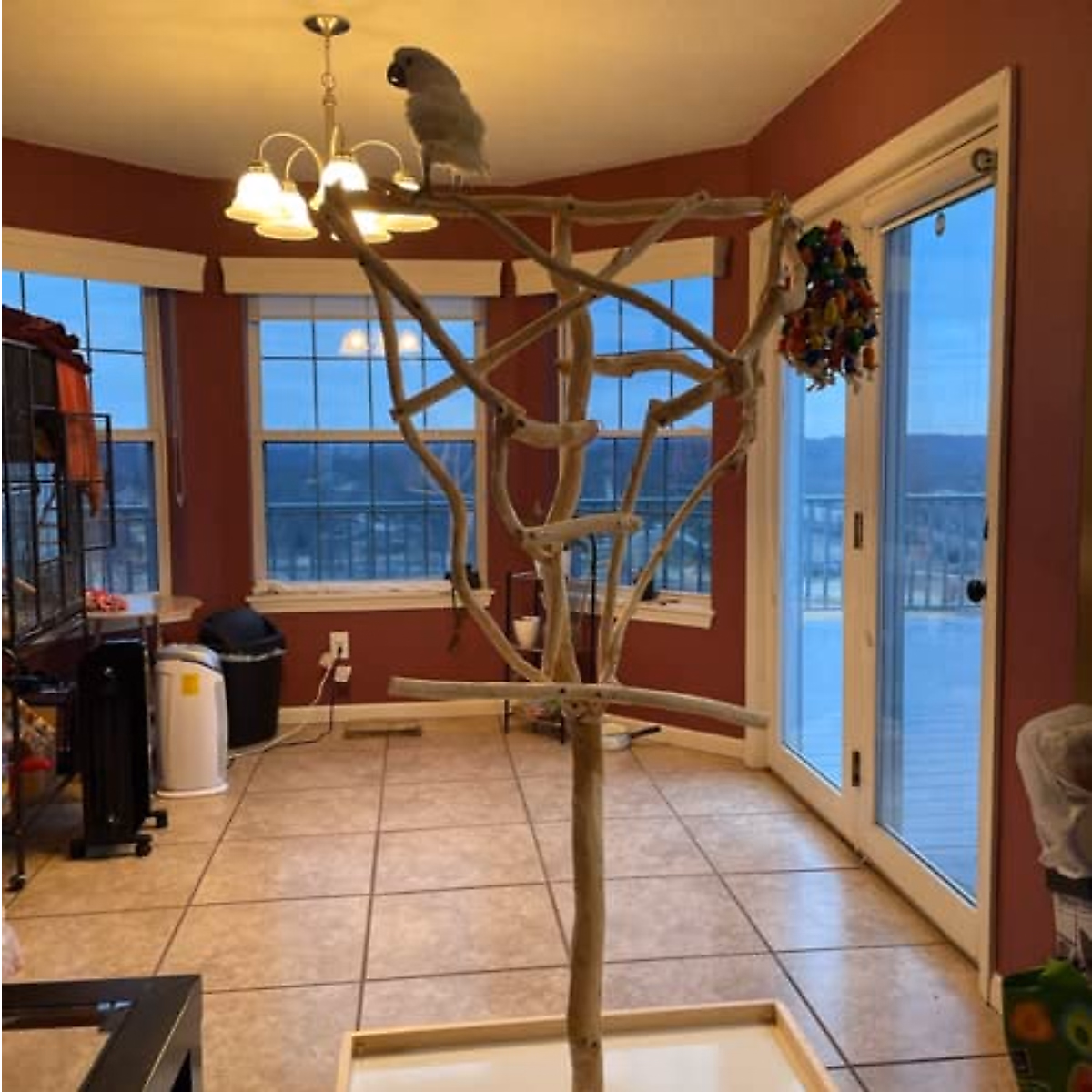 Exoticdad Parrot Stand - Reptile Birds Perches For Parrots - Wood Perches Stand For Parrot - Uniquely Sanded ,Custom Made Designed For Parrots, Cockatoo, Parakeets- 2ft x 3ft Base and 5.5-6ft Height