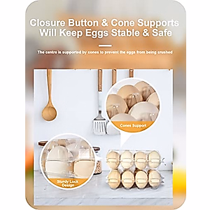 Pintuson Egg Cartons Cheap Bulk 60 Pack - Holds 1 Dozen Clear Blank Egg Cartons for Chicken Eggs - Medium Plastic Egg Carton for Home Ranch Chicken Farm, Commercial Market Display (3x4 Grids)