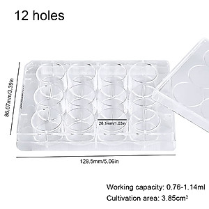 ADAMAS-BETA 12-Well Sterile Culture Plate, TC Treated Cell Culture Plates Tissue Culture Treated Plate, Individually Wrapped, Pack of 10