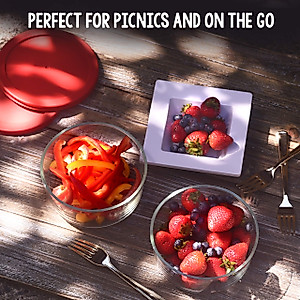 BOVADO USA 1 Cup Glass Food Storage Containers (6 Pack) | Nonpourous Dishwasher, Freezer & Oven Safe Glass, Easy-Clean | Red Lids