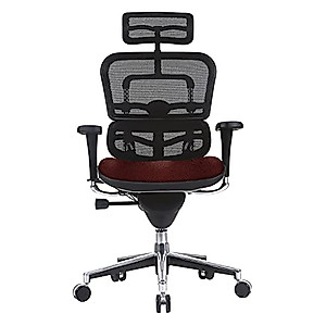 Tempur Pedic® Eurotech Ergo High Back-Mesh Executive Chair Burgundy