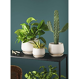 LE TAUCI Ceramic Plant Pots, 4.1+5.1+6.5 inch, Set of 3, Planters with Drainage Hole and Saucer, Indoor Flower Pot with Hole Mesh Pad, Gifts for Mom, White