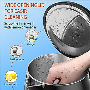 Electric Kettle 1.7L, Aylion 100% Stainless Steel Interior Double Wall Electric Tea Kettle, 1500W Fast Heating, Auto Shut-Off & Boil Dry Protection, BPA Free, LED Indicator, Black