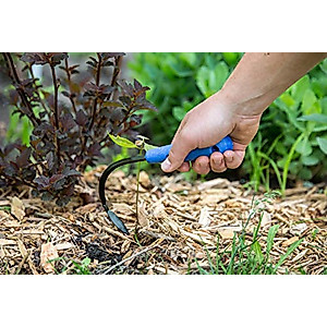 CobraHead® Mini Weeder & Cultivator Garden Hand Tool - Forged Steel Blade - Recycled Plastic Handle - Ergonomically Designed for Digging, Edging & Planting - Perfect for Small Gardening Jobs