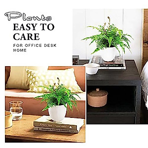 NOUKOW 14" Small Fake Boston Ferns Artificial Plants for Home Decor intdoor Fake Potted Plants for Office Desk Farmhouse Room Decor