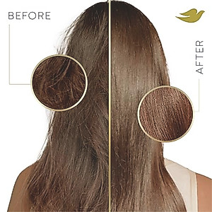 Dove Ultra Care Coconut & Hydration Conditioner for Dry Hair with Jojoba and Sweet Almond Oils, 25.4 oz