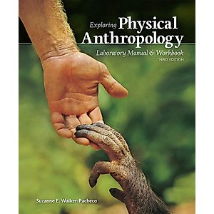Exploring Physical Anthropology: A Lab Manual and Workbook, 3e
