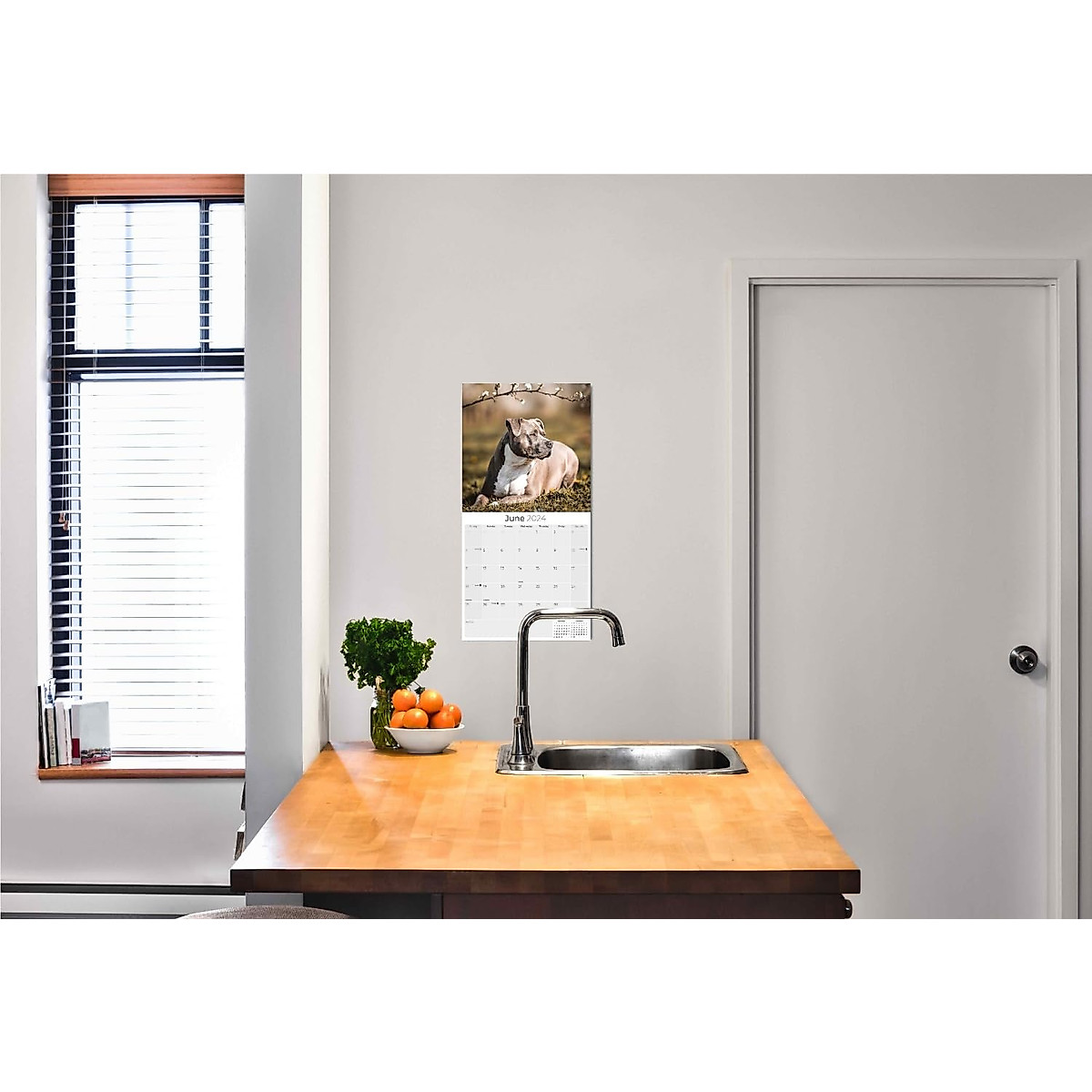 2023 2024 American Staffordshire Terrier Calendar - Dog Breed Monthly Wall Calendar - 12 x 24 Open - Thick No-Bleed Paper - Giftable - Academic Teacher's Planner Calendar Organizing & Planning