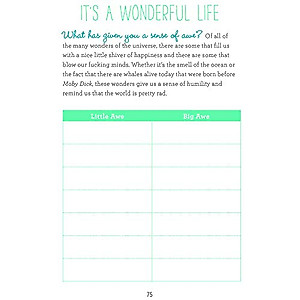 Find Your F*cking Happy: A Journal to Help Pave the Way for Positive Sh*t Ahead (Zen as F*ck Journals)