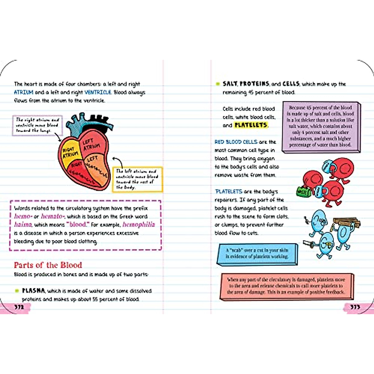Workman Publishing Company - To Ace Biology in One Big Fat Notebook