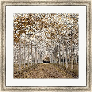 White Gold by Assaf Frank Framed Art Print Wall Picture, Silver Scoop Frame, 28 x 28 inches