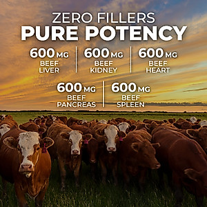 ForestLeaf Beef Organ Supplement - Grass Fed & Pasture Raised - Total Body Wellness & Performance, Organ Complex with 3000mg of Desiccated Beef Liver, Heart, Kidney, Pancreas, Spleen (180 Capsules)