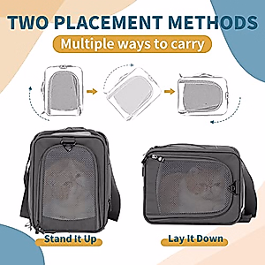 Petsfit Two-Way Placement Dog Carrier Cat Carrier, 19"x 12"x 9" Soft-Sided Airline Pet Carrier for Kittens, Puppies up to 15 Lbs, Gray