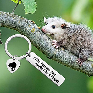 MYOSPARK Opossum Lover Gift I Like Possums And Maybe Like 3 People Opossum Animal Jewelry Opossum Mom Gift (Possums KC)