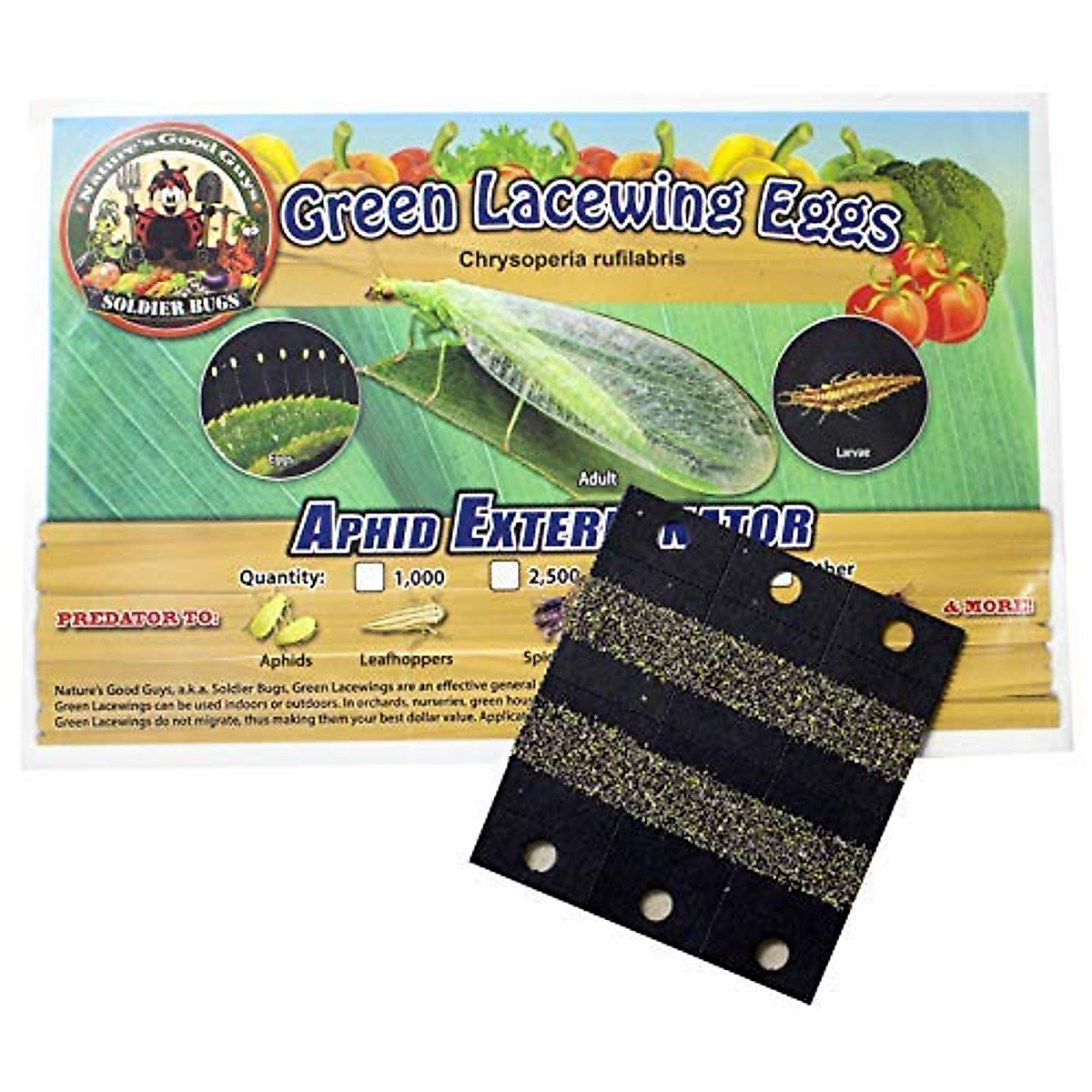 NaturesGoodGuys - Green Lacewing Eggs on Hanging Card (2,500 Eggs)