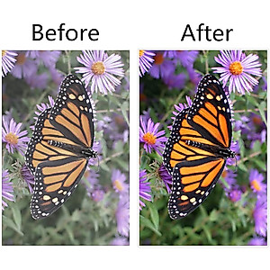 RyhamPaper Thermal Laminating Pouches, Laminating Sheets 9 x 11.5 Inches Letter Size 3 mil, 500 Pack Laminator Sheets for Sealed Document, Cards, Clear Laminated Finish, Round Corner, Waterproof