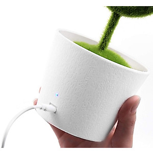 Rockwood Plant Air Purifier