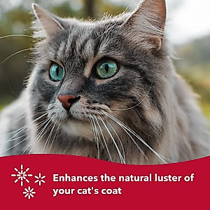 Coastal Pet Safari - Cat Soft Slicker Brush (6.5 x 3.5 Inches)