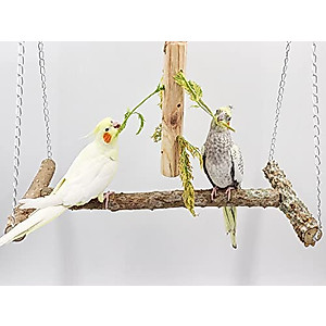 Large Bird Perch Swing Toy, Natural Pepper Wood Parrot Perch Stand Toy, Hangable Birdcage Accessories with Stainless Steel, Bird Chewing Toy for Parrot Parakeet Budgies Lovebirds(18×10 Inches(L×W))