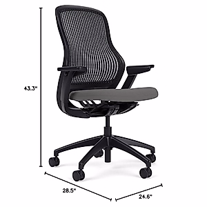 Knoll Regeneration Adjustable Ergonomic Office Desk Chair with Flex Back, Onyx/Pebble