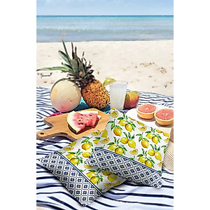 Throw Pillows for Couch Pack of 2 Waterproof Throw Pillow Covers 16x16 Inch, Outdoor Pillows Cushion Case for Bed Sofa Outdoor Furniture, Summer Lemon Texture Decorative Pillows Cover