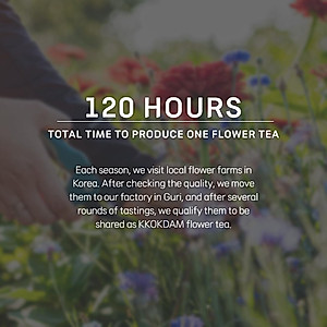 KKOKDAM Chrysanthemum Butterfly Tea Bags - 10 Fancy Decaf Loose Leaf Tea for Iced or Hot – Elegant Korean Gift