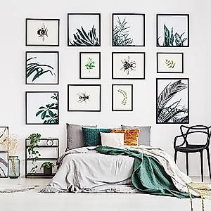 TWING Picture Frames 12x12 Set of 3, Black Large Gallery Wall Frame Set Display Photos 8 x 8 with Mat or 12 x 12 without Mat Wall Mounting Composite Wood