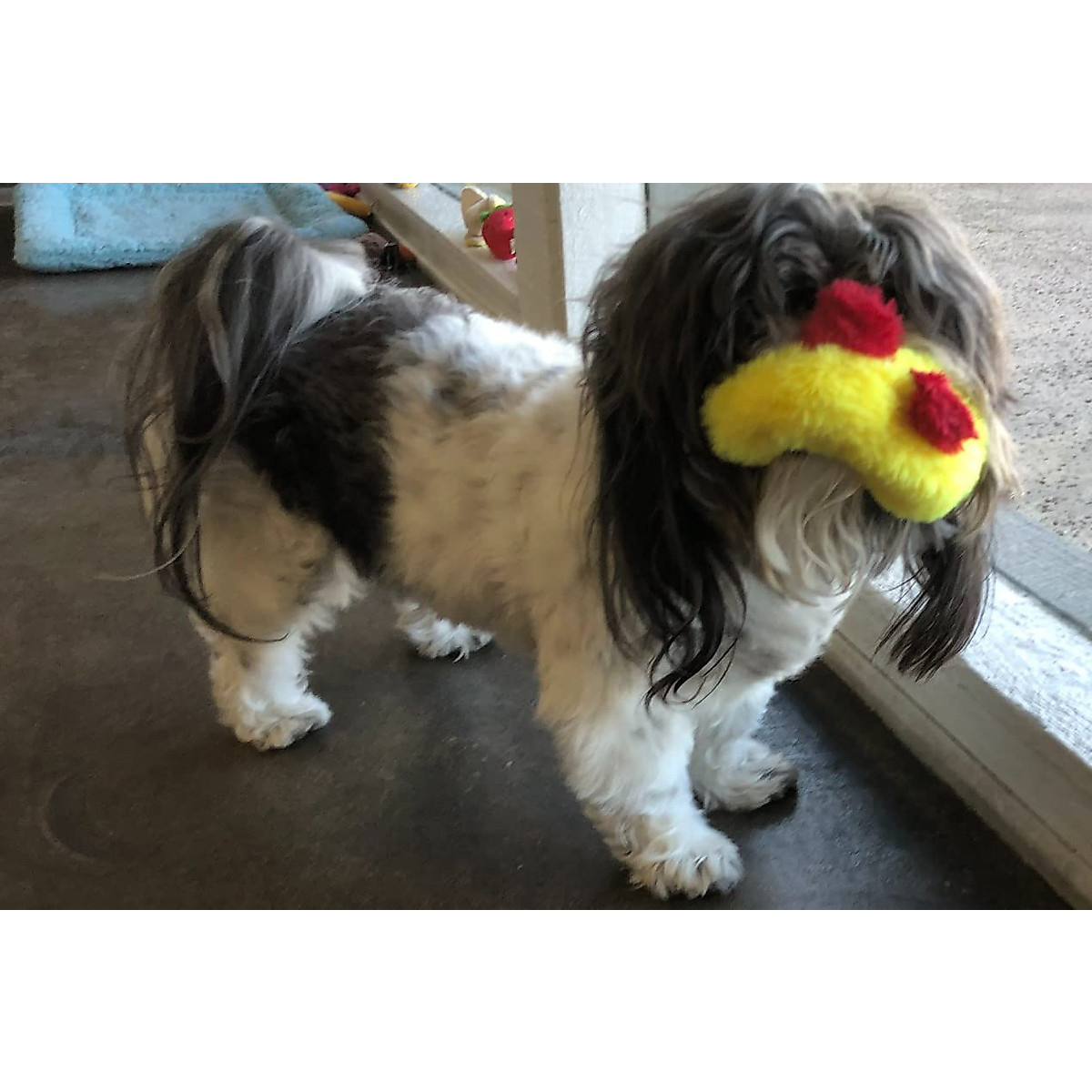 Glory To Dog TinyToy Plush Yellow Duck Very Small Unstuffed Dog Toy