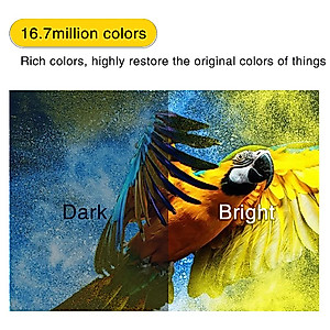 Dayu.p Mini Projector, Portable Projector for Cartoon, Movie Projector, Kids Gift, LED Pico Video Projector for Home Theater Movie Projector with HDMI USB TV AV Interfaces and Remote Control