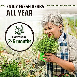 17 Herb Culinary Seed Vault - 5200+ Herbs Seeds for Planting Indoor or Outdoor Garden - Heirloom, Non GMO | Hydroponic Herb Garden Seeds with High Germination | Cilantro, Mint, Chives, Basil, Parsley