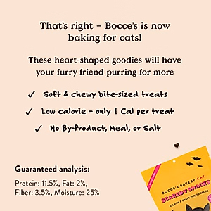 Bocce's Bakery All-Natural, Seasonal, Scardey Snacks Cat Treats, Wheat-Free, Limited-Ingredient Soft & Chewy Treats Inspired by Halloween, 2 oz