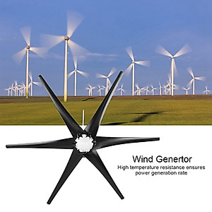 Wind Turbine Generator, Windmill Generator 800W Wind Turbine 6 Blade Wind Controller Turbine Generator Kit for Boats, Terraces, Cabins or Home(Black 24V)