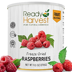 Ready Harvest Freeze Dried Raspberries Whole Foods for Emergency Food Storage, Camping Supplies, and Survival Kits | Sealed Fresh in #10 Can | 30 Year Shelf Life | 1 Can