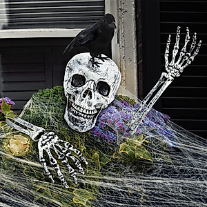 Skeleton Stakes with Crows - Scary Outdoor Halloween Yard Lawn Decorations, Groundbreakers for Skull Garden Graveyard Decor