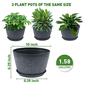 Quarut 10 Inch Flower Pots Planters for Outdoor Indoor, 3 Pack Plastic Plant Pots with Drainage Hole & Tray, Modern Decorative Garden Pot with Saucer, planters for House (Gray)