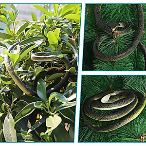 Nicedeal Rubber Snake, 2Pcs Scary Snake Toy, 80cm Realistic Cobra Field Snake Toys, Fake Snake Toy, Halloween Scary Toy, Medusa Costume Halloween Props for Garden Props