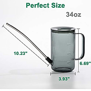 Indoor Plant Watering Can(34oz), Watering Can for Indoor Plants, Flowers, Succulents, with Plant Mister Spray Bottle(10oz)