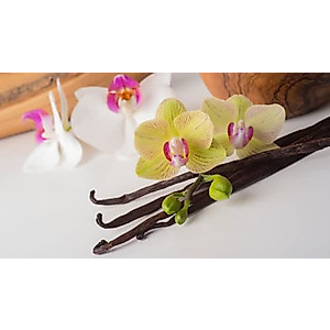 (Limited Edition) Faith to Move Mountains Vegan Scented (Pink Wooden Wick) Candle - Clean Burning Coconut/Soy Blend Frosted Glass Candle (Made in The USA) (Vanilla, 9 Ounces)