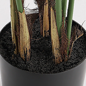 YOLEO Artificial Palm Tree 2FT Tall Faux Palm Plant for Home Office Indoor Outside Decor Fake Palm Tree with Lifelike Palm Leaves