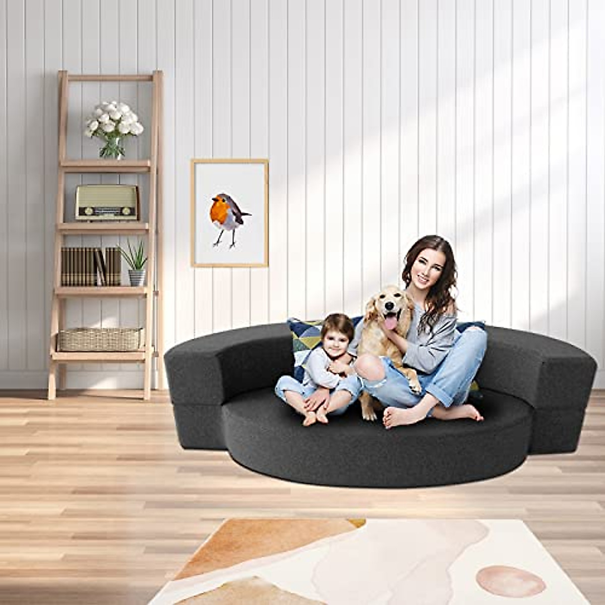 Nigoone Modern Folding Sofa Bed Couch Memory Foam with 2 Pillows Sleeper Sofa futon Couch for Bedroom Living Room Guests, Washable Set, Stylish Oval 76''L × 41.5''D × 10''H,Dark Gray