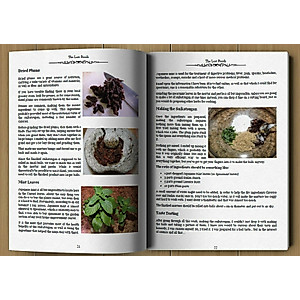 The Lost SuperFoods 126+ Survival Foods and Tips for Your Stockpile