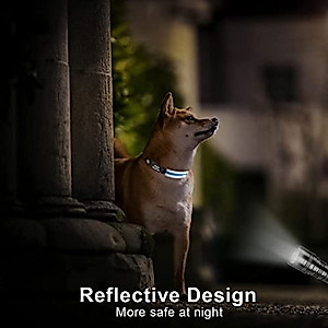 SF Custom Personalized Reflective Dog Collars,Custom Engraved Stainless Steel Name Plate ID Collar Padded Pet Collar 4 Adjustable Sizes X-Small Small Medium Large