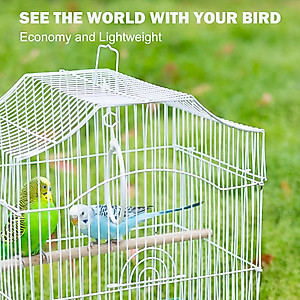Kuzino Small Bird Travel Cage - Economy and Lightweight Small Birds Carrier Cages for Parakeets Lovebirds Parrotlets Finches Canaries with White Wire, Blue Plastic Base with Removable Tray