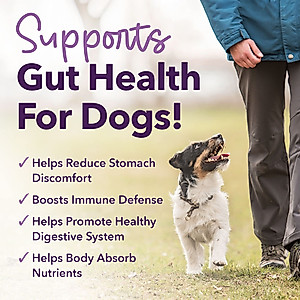 iHeartDogs 3-in-1 Probiotic for Dogs with Pumpkin for Improved Digestion & Gut Health - Dog Probiotics and Digestive Enzymes, 90 Count