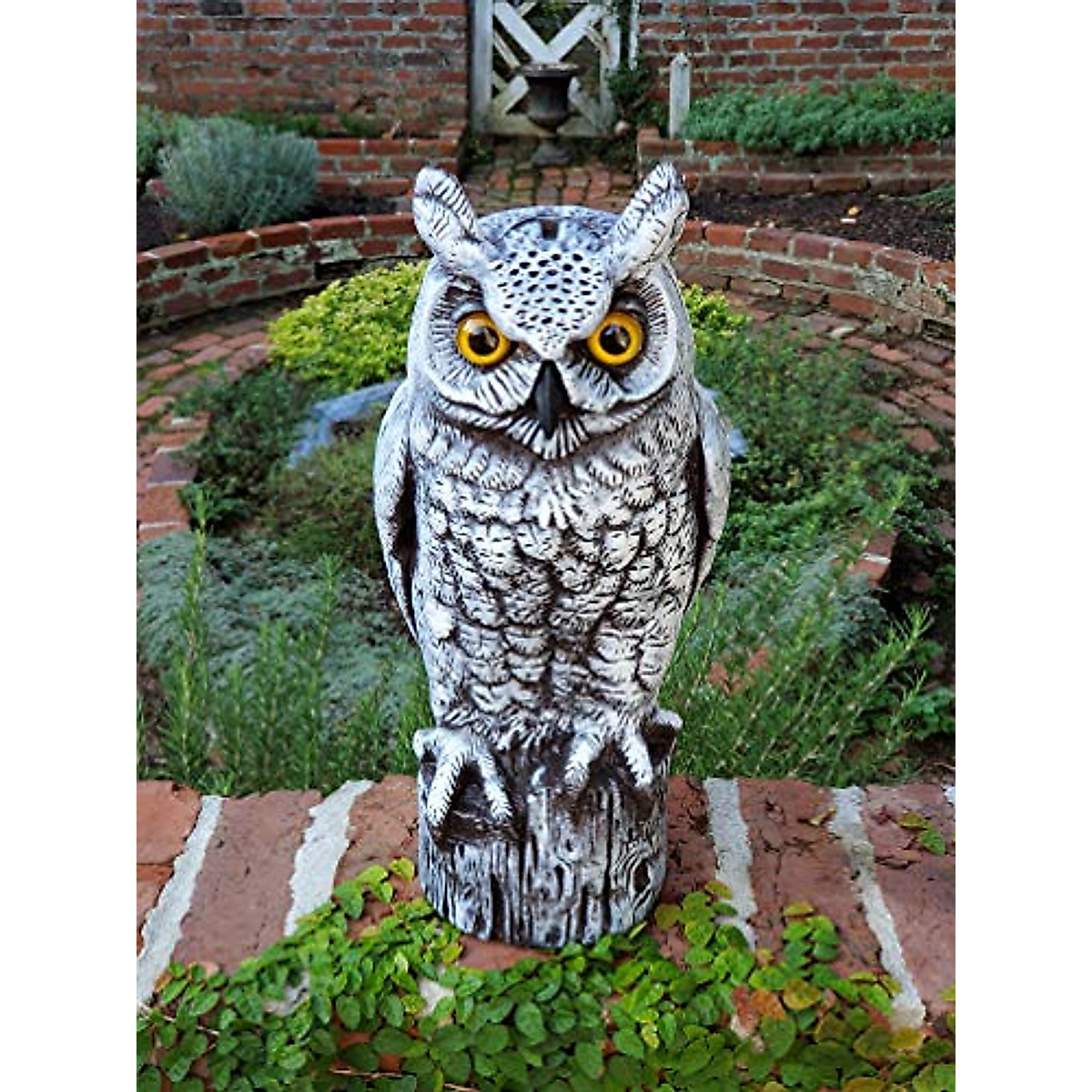 Dalen Fake Owl Decoy to Scare Birds Away from Gardens, Rooftops, and Patios - Scarecrow Provides Chemical-Free Pest Control - Safe and Humane, 16" Great Horned Owl - Snow White